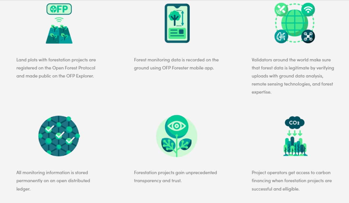 Open Forest Protocol : La blockchain au service de la gestion durable ...
