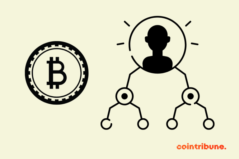 Bitcoin Ponzi Schemes: How to Spot Them