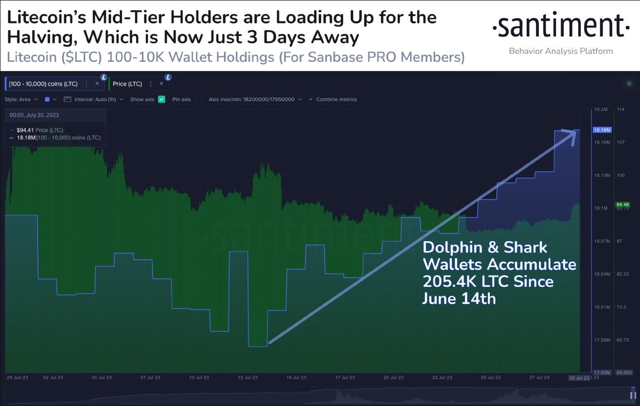 Litecoin (LTC) halving: A price explosion not to be missed?