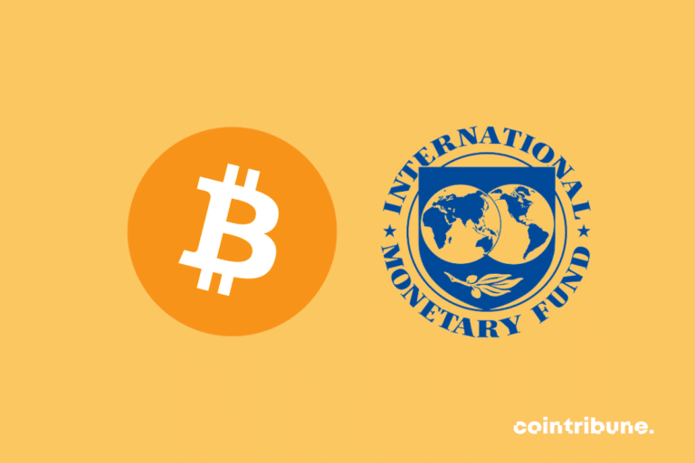 Crypto: IMF Proposes a Solution for Risk Assessment