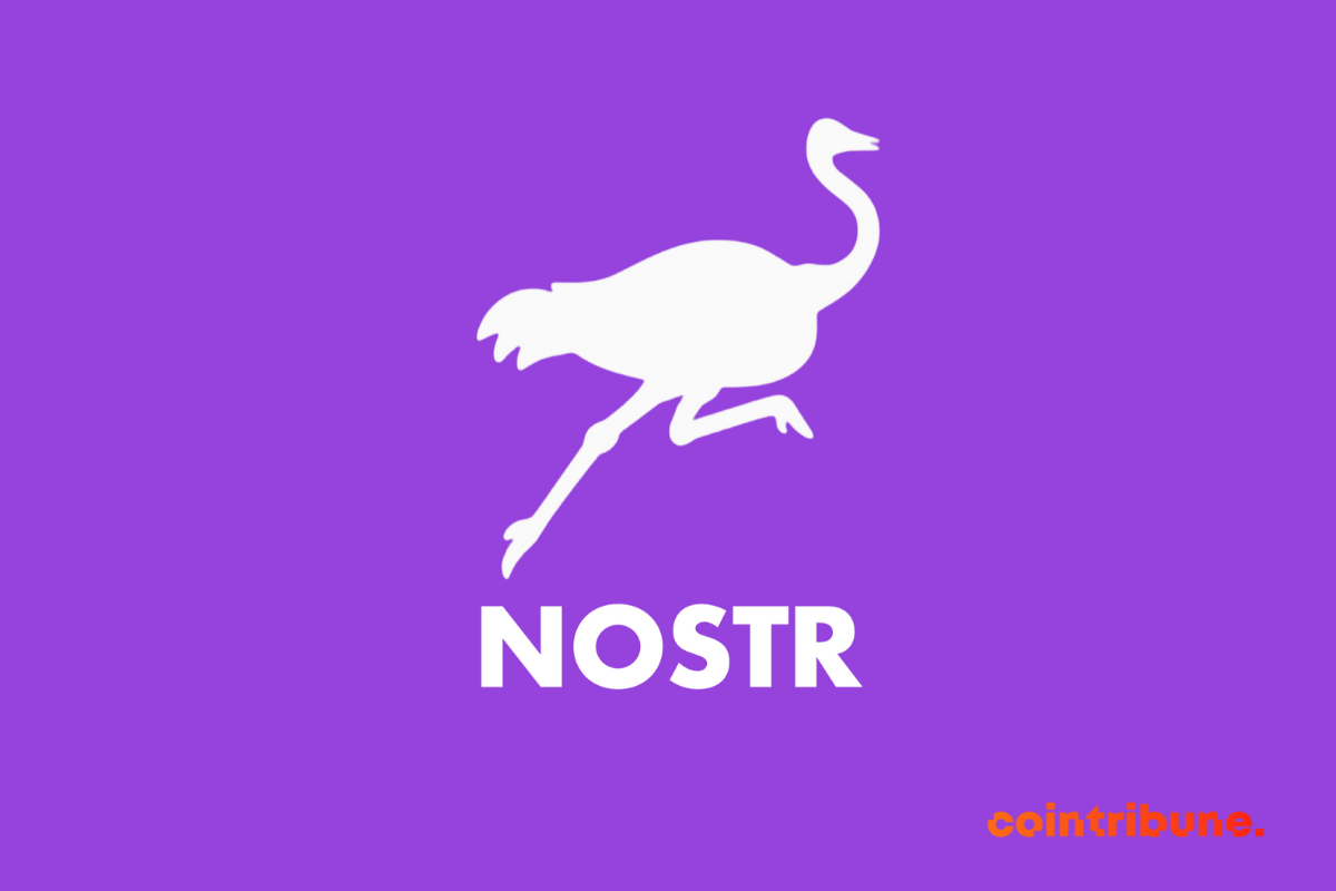 How to Use Nostr: A Beginner's Guide