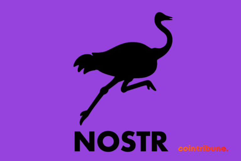 Guide pour débutants : Tout savoir sur Nostr