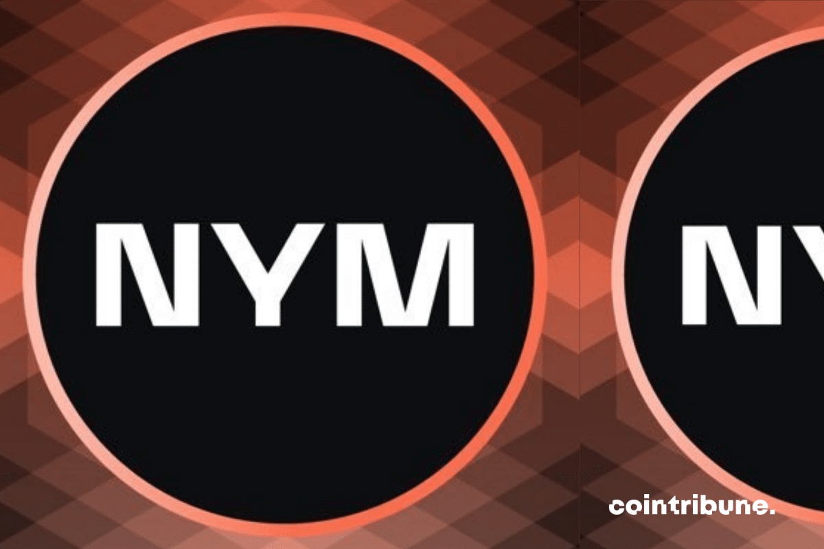 NYM Protocol : La solution pour protéger sa vie privée sur Internet