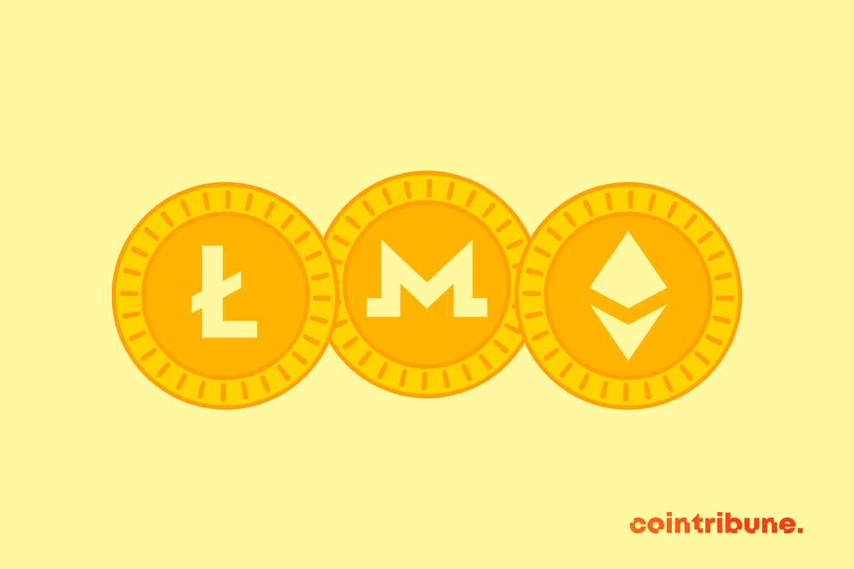 Altcoin Trading: Practical Guide for Investors