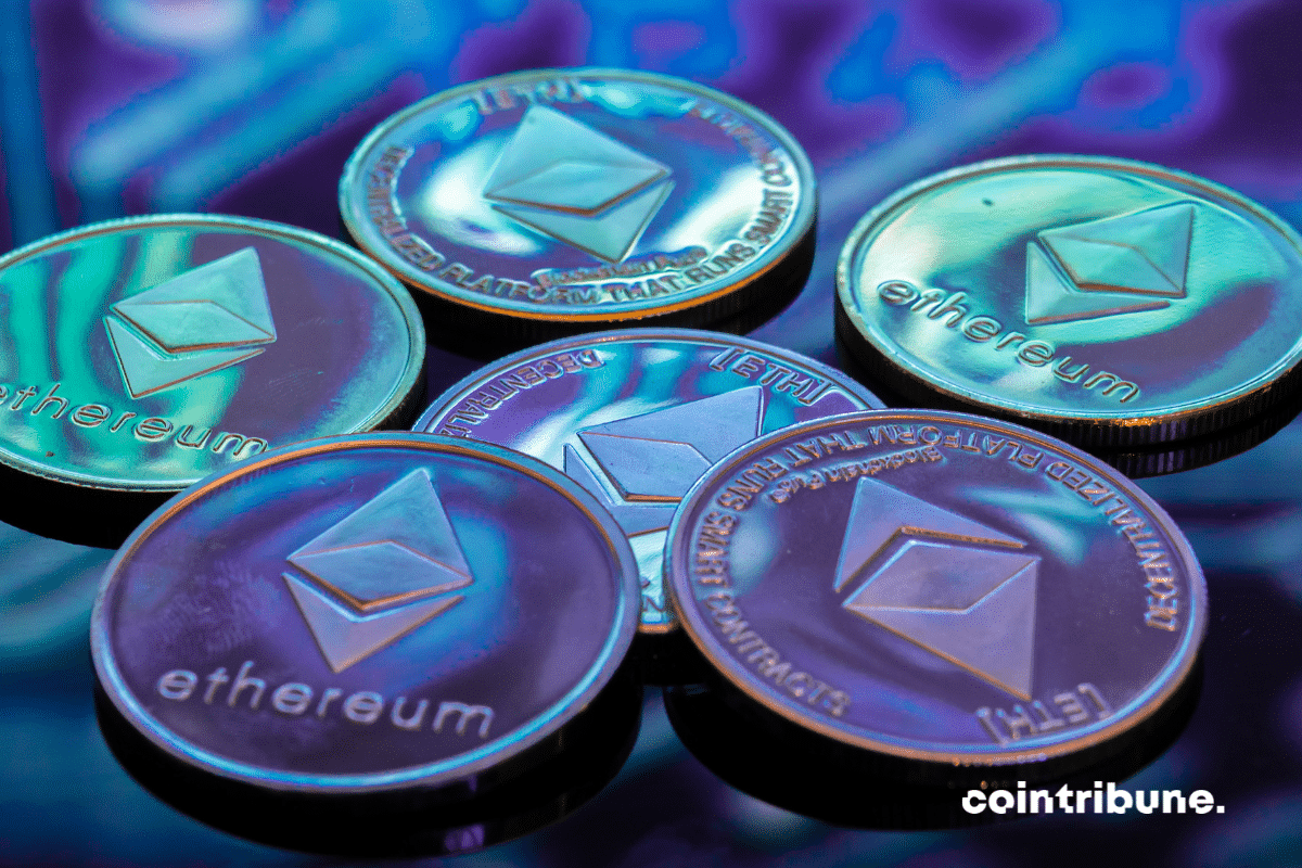 MEV Bot Tutorial: The Complete Guide to Building One Yourself