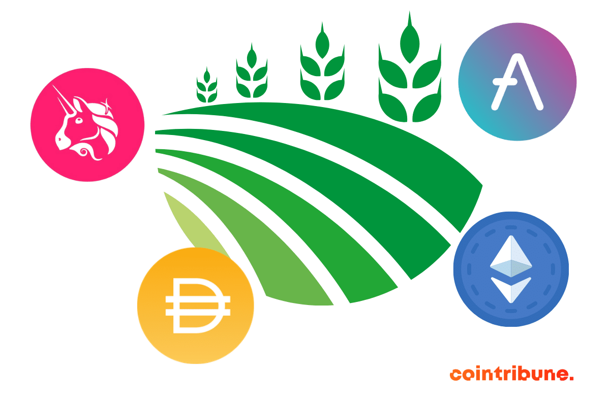Yield Farming en DeFi : Guide complet pour rendements en crypto
